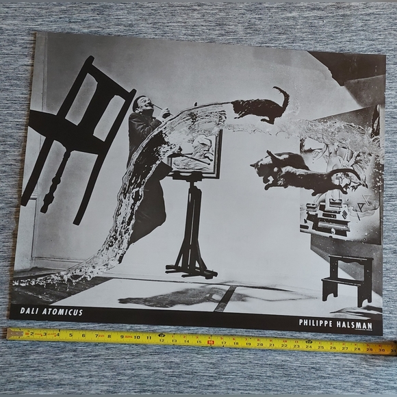 Salvador Dali | Art | Salvador Dali 24x3 Poster Dali Atomicus | Poshmark